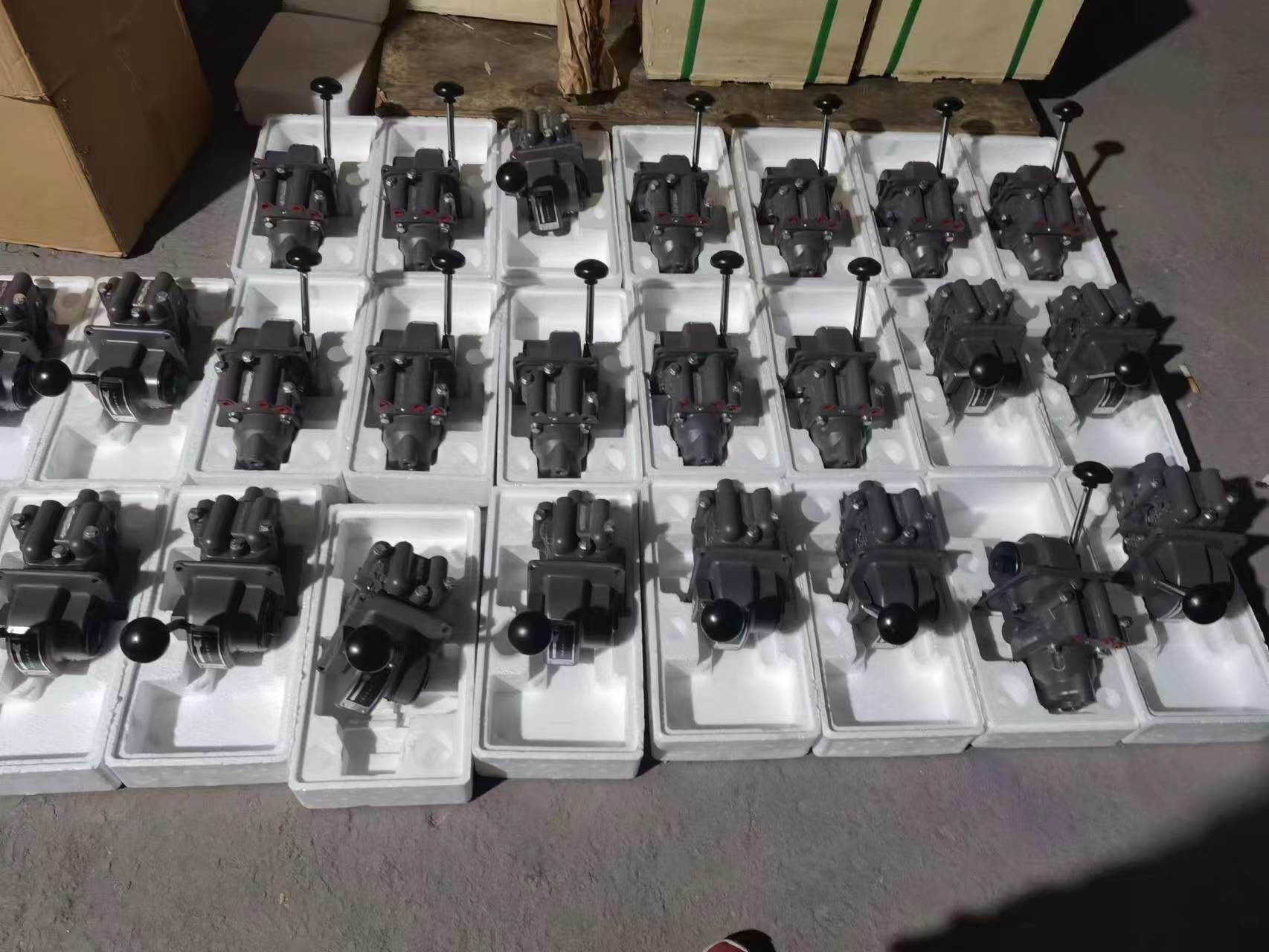 Rexroth Control Air Valve/Rexroth Relay Valve/Rexroth Actuator/Rexroth ...